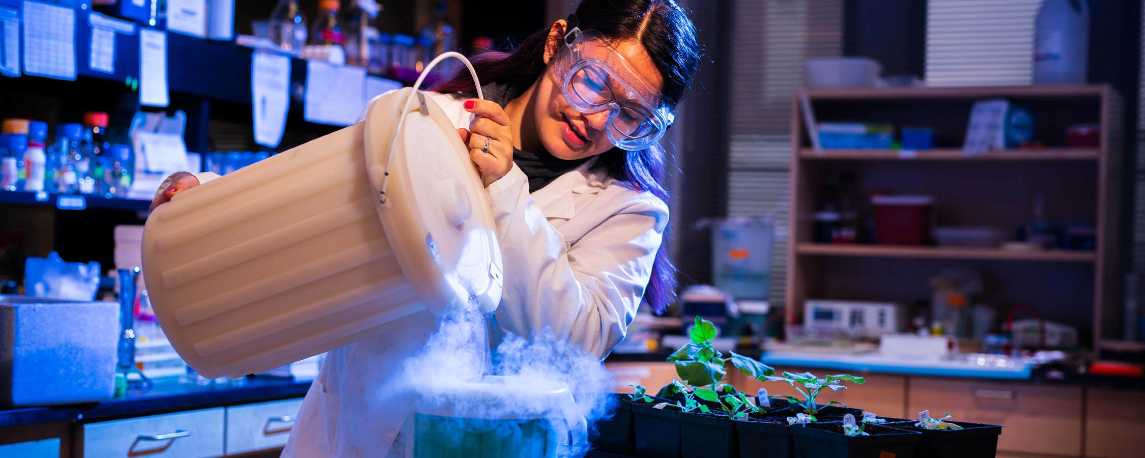 Graduate - Biochemistry & Cellular and Molecular Biology