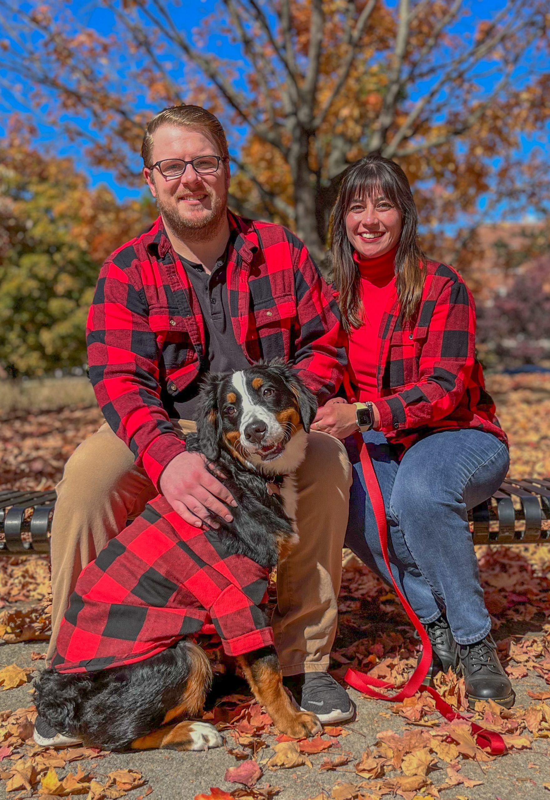 Understanding Brain Development and How It Can Go Wrong - Biochemistry ...